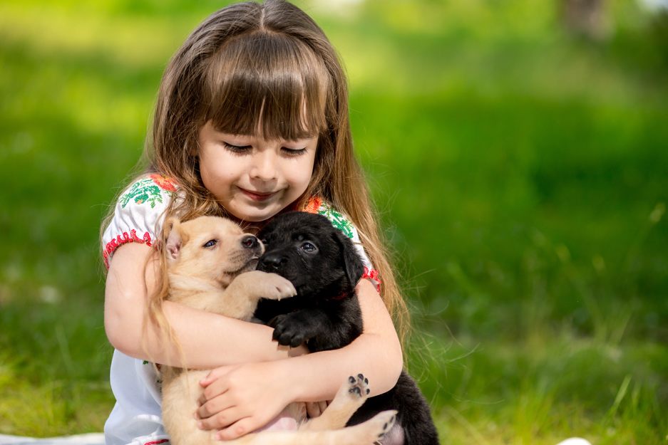 Ten Reasons Getting Pets For Kids Is A Good Idea KidSitter Ten Reasons Getting Pets For Kids Is A Good Idea KidSitter